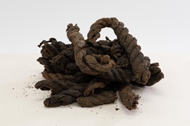 Columbian Exchange |Museum of the Coastal Bend | Victoria, TX